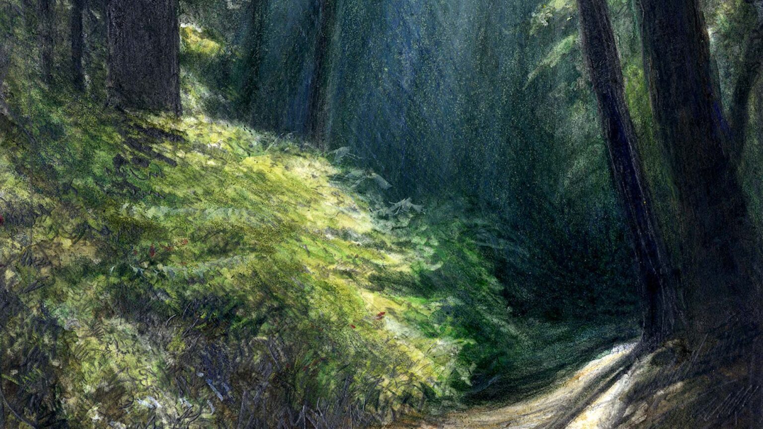 Andreas Noßmann – Zeichnungen – Grafiken – Bücher